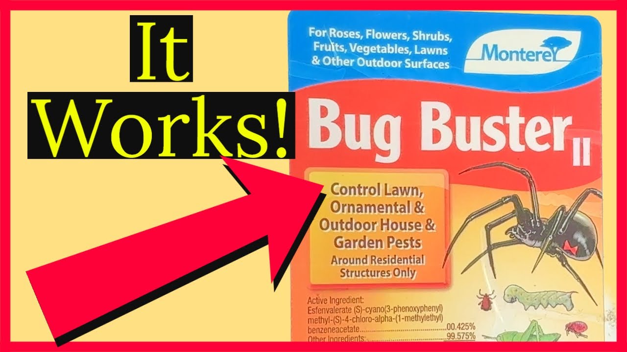 Monterey Bug Buster II - Synthetic Insecticide - 8 Ounce Concentrate ...