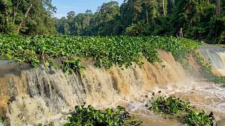 Update New Generation Floating Plants Clogged On Dam Drain