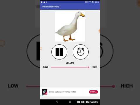 Annoying Duck Sound | Random | - YouTube