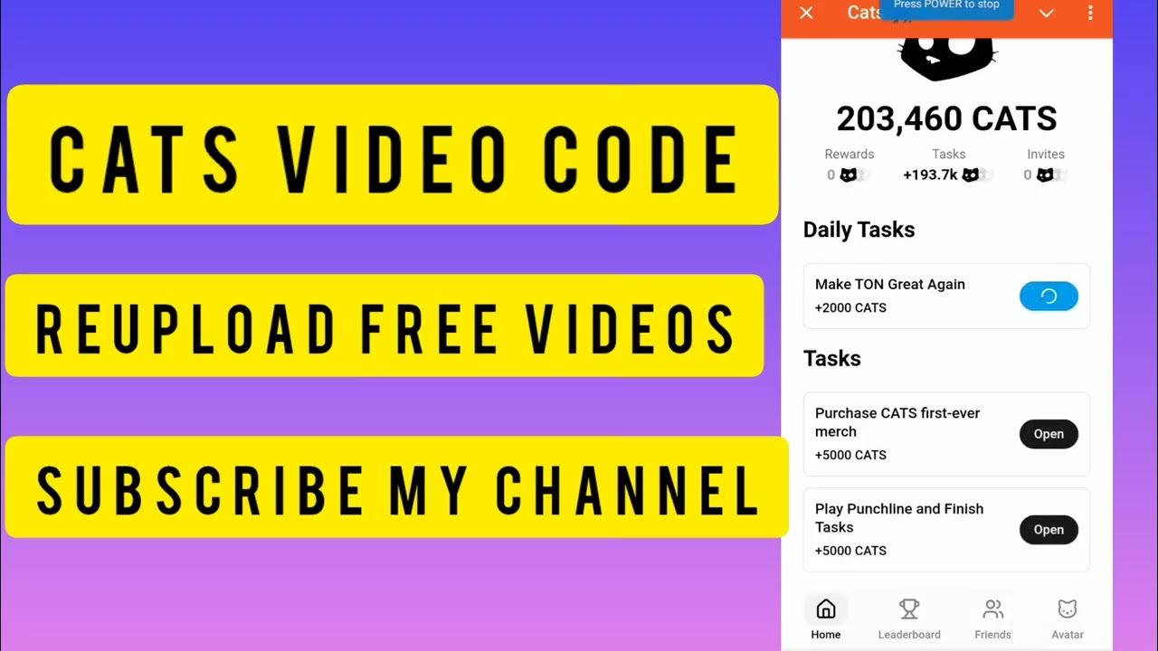 Reupload FREE videos Cats Code Today | Reupload FREE videos Cats Code Today 19 November | - YouTube