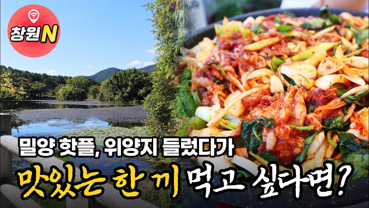 [창원N] 밀양핫플, 위양지 들렀다가 맛있는 한 끼 먹고 싶다면? │Miryang Wiyangmot Pond, Miryang ...