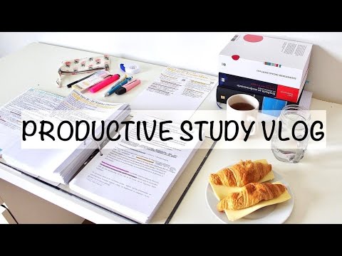 Study Live With Me @The Intent Learner - YouTube