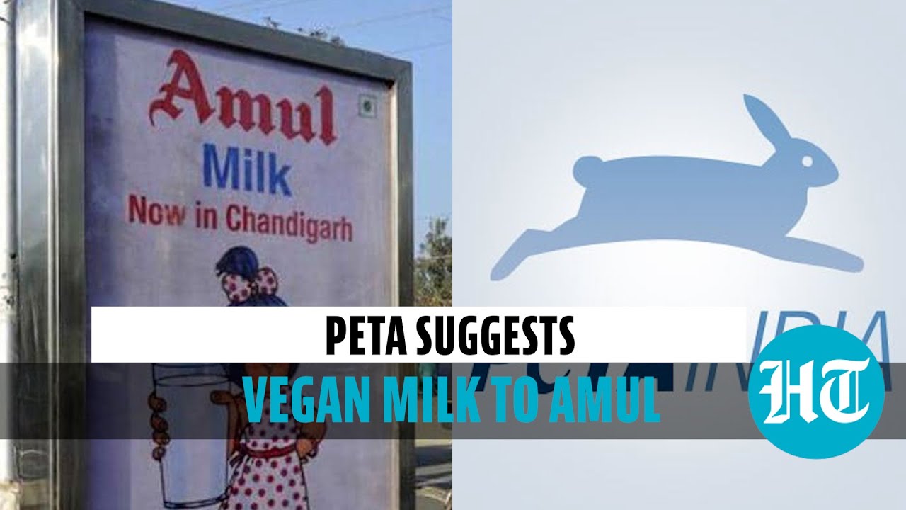 PETA, Amul argue over switching to vegan milk: Know what happened - YouTube