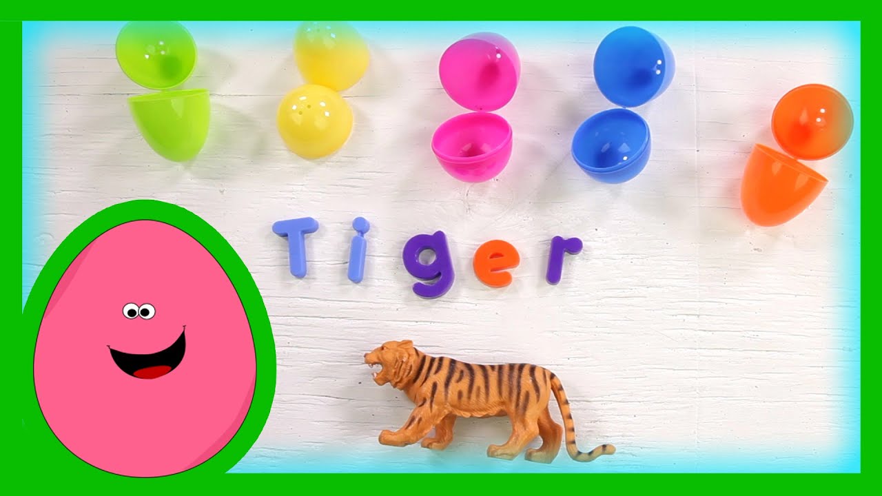 Learn to Spell Animals For Kids | Eggs for Kids Spell Tiger - YouTube