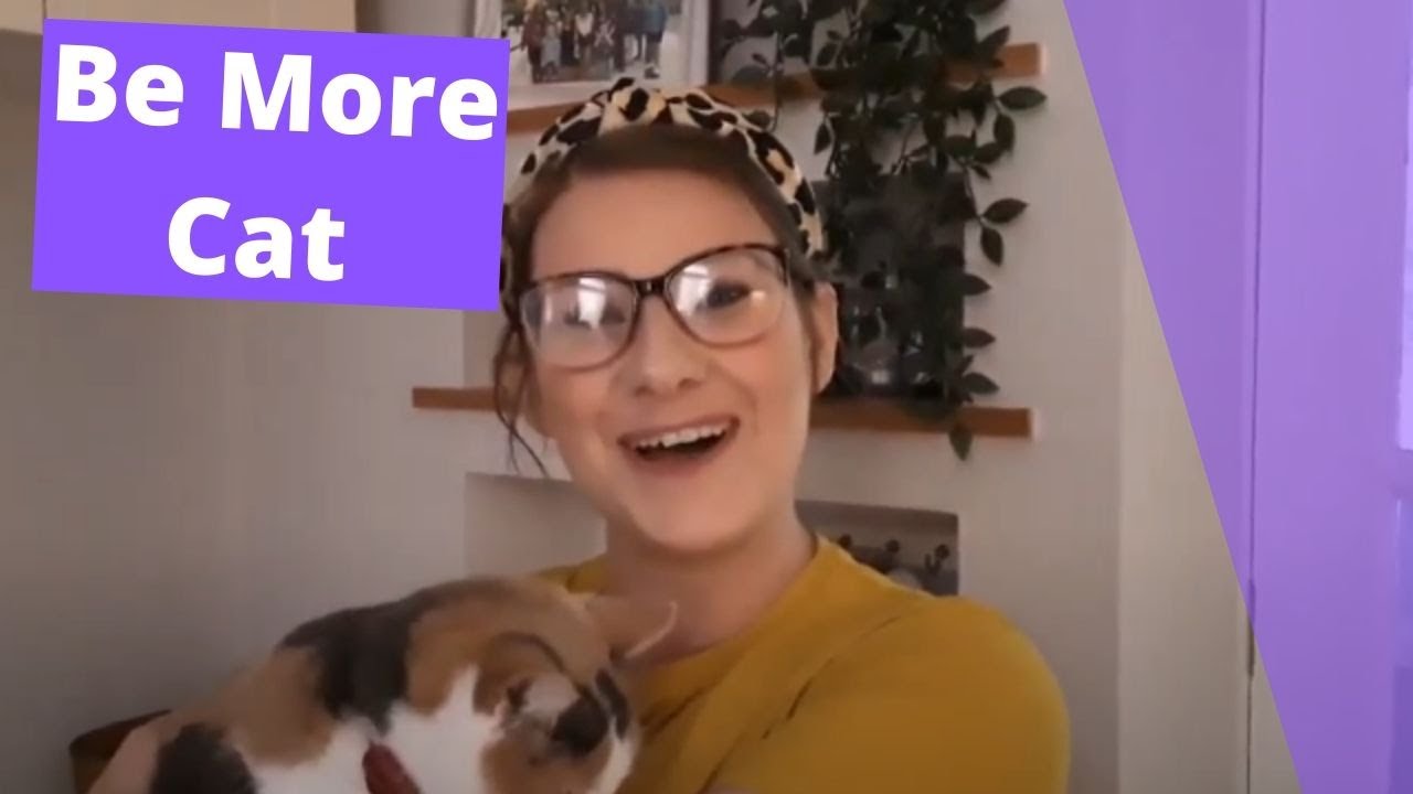 Be More Cat - YouTube