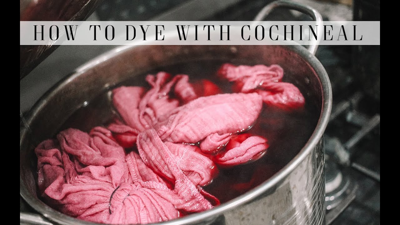 How to Make a Cochineal Dye Vat for a Beautiful Pink Color with Natural ...