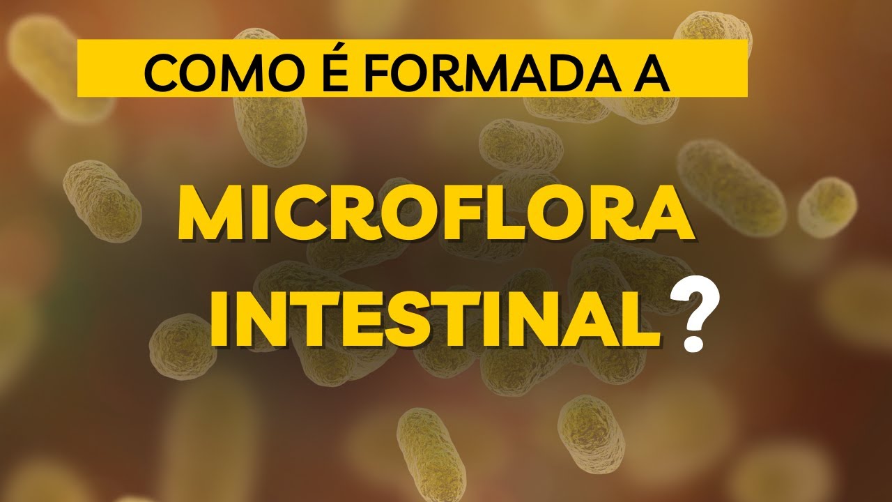 Como é formada e colonizada a microflora intestinal - YouTube