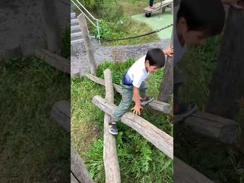 Akira playground- Cham