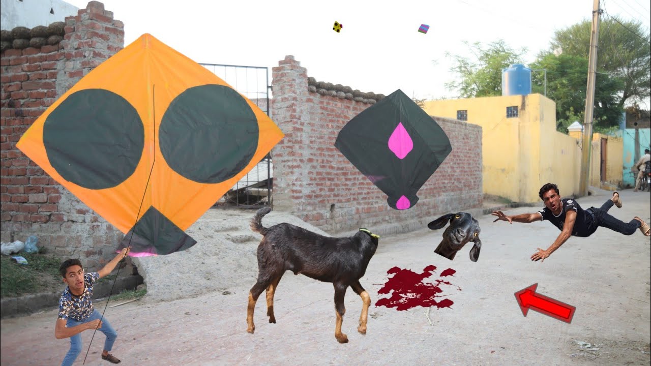 Kite Flying & Catch Abubaker Bakra | Cutting Gudda - YouTube
