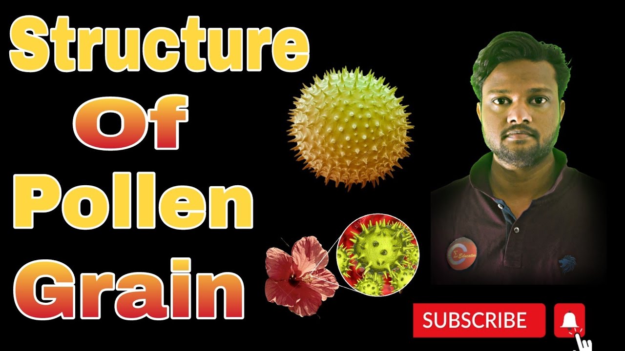 Structure of Pollen Grain by Arun Sir।।Class 12th Board+Neet Viral ...