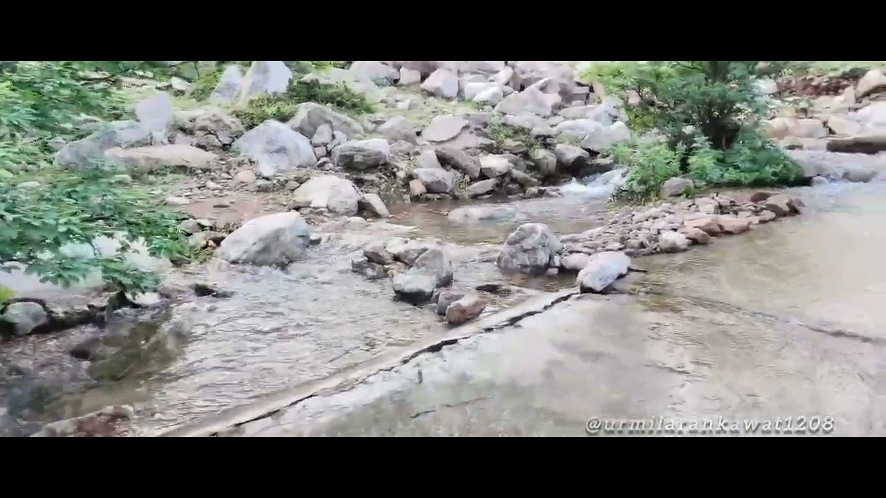 August muni 2025 pushkar - YouTube