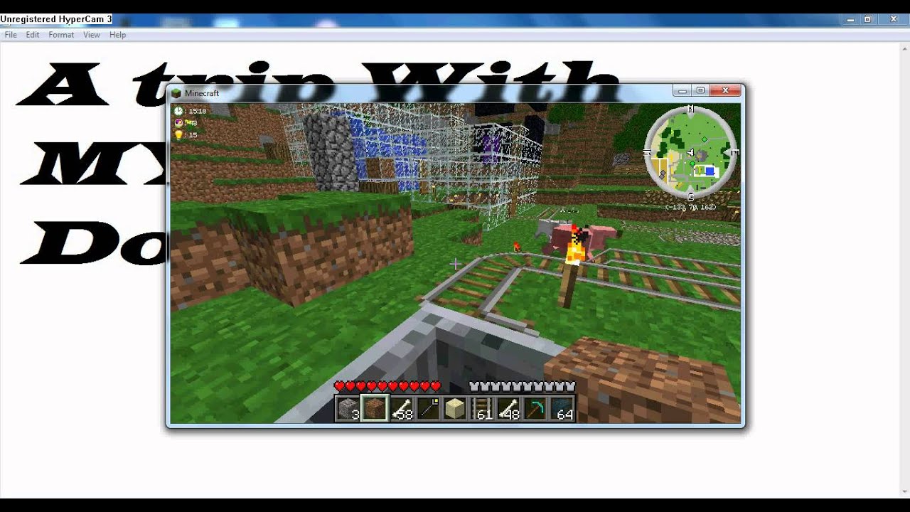 Minecraft - Dog/Wolf Trip and how to make it your pet - YouTube