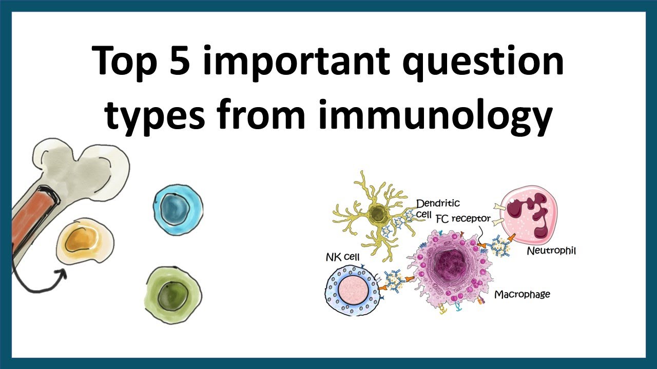 5 Most important question types from immunology - YouTube
