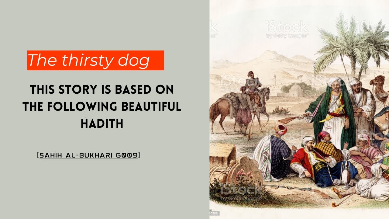 This story is based on the following beautiful hadith || The thirsty ...