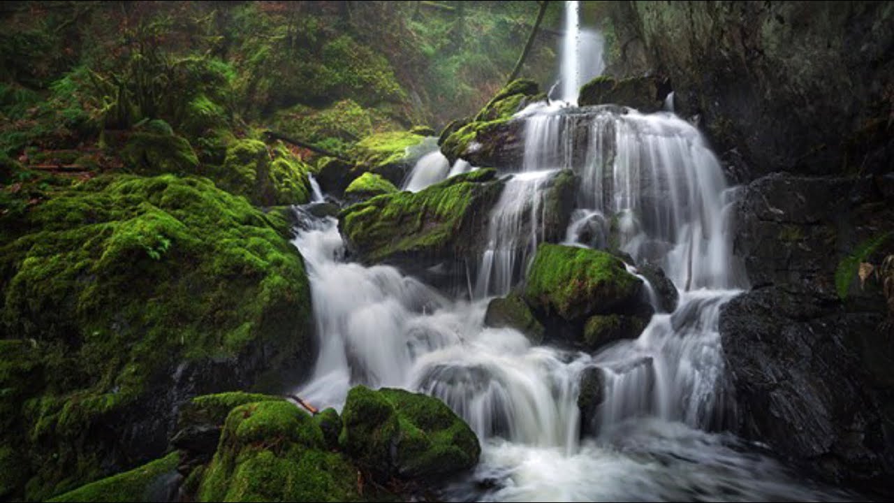 Healing Waterfall Sounds | Natural White Noise for Insomnia & Stress ...