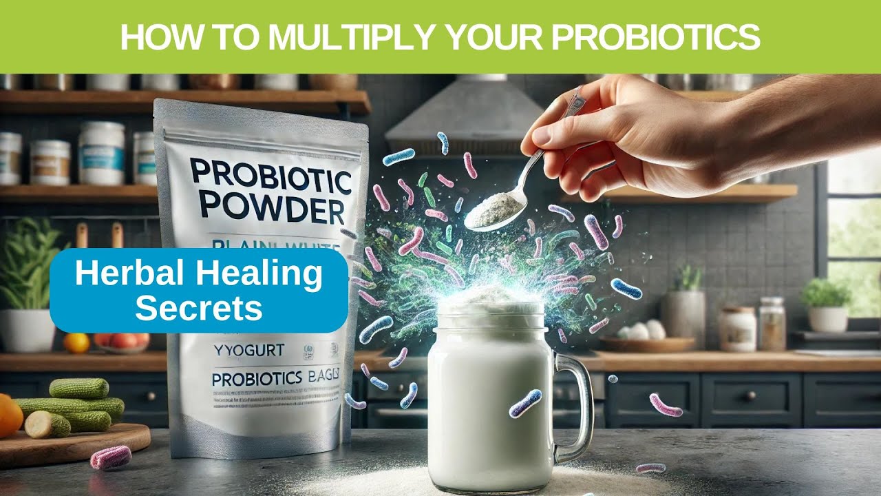 How To Multiply Your Probiotics - Herbal Healing Secrets - YouTube