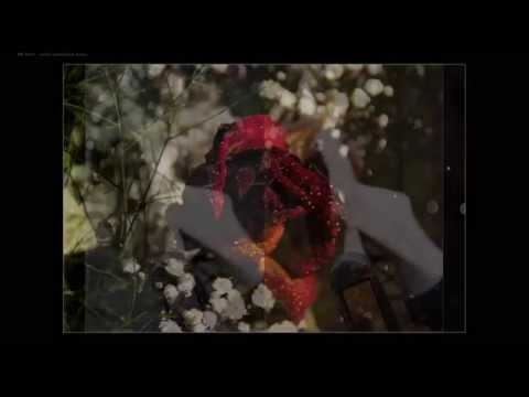 MS Foto - Model Çekimi