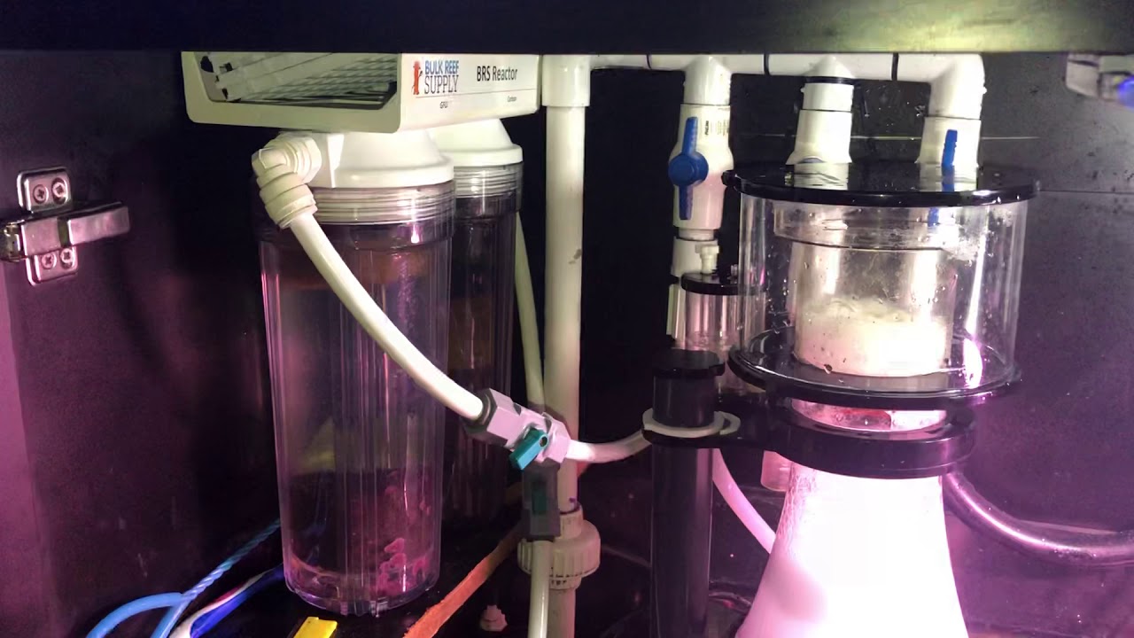 Red Sea Reefer 450 - YouTube