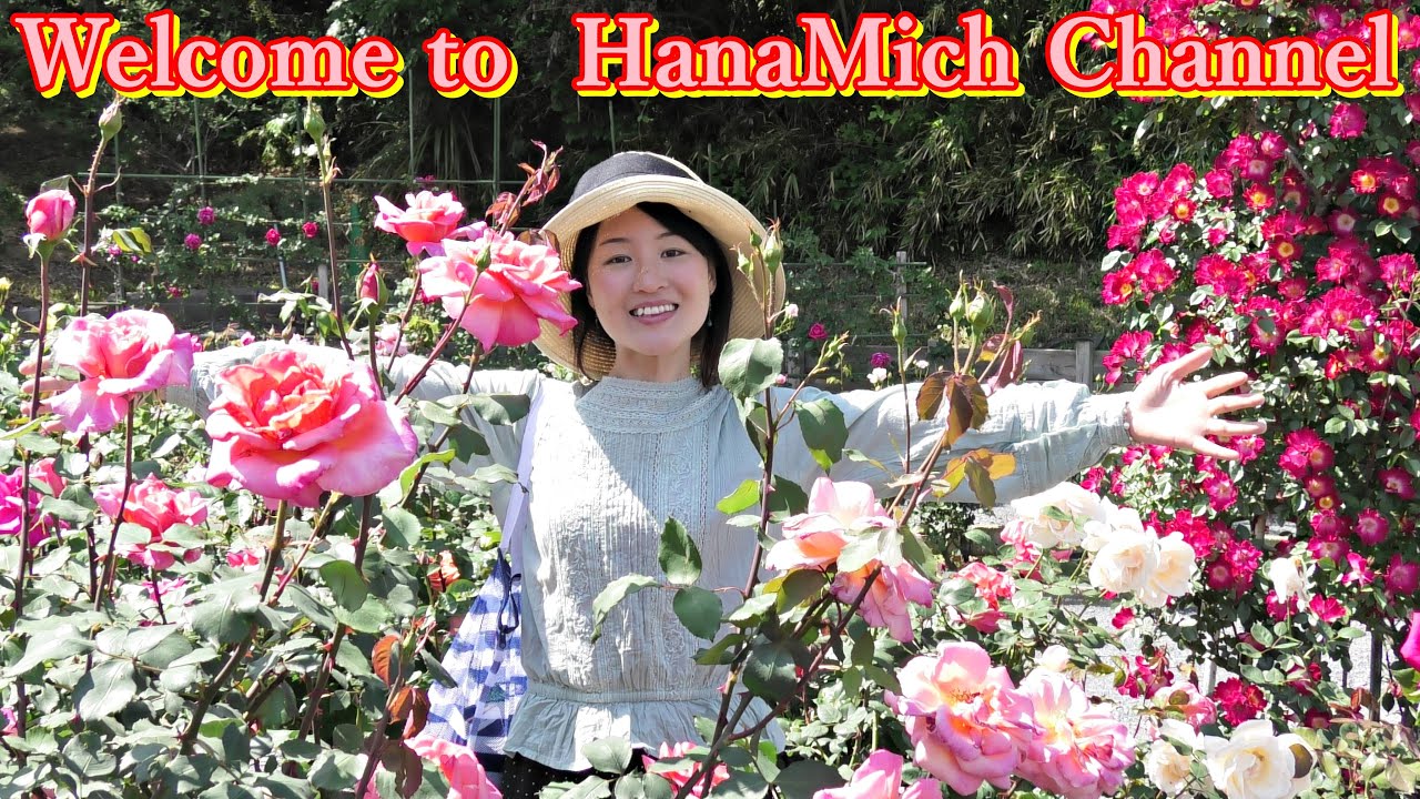 Welcome to Hanamich Channel! ! - YouTube