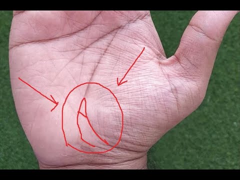 Fish Sign at The End of Life Line - YouTube