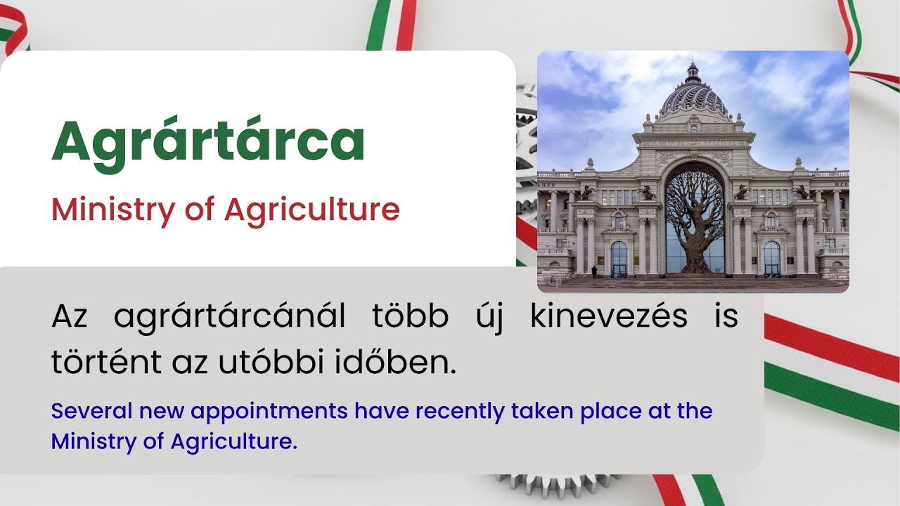 Learn Academic Hungarian Vocabulary with Pictures & Sentences ...