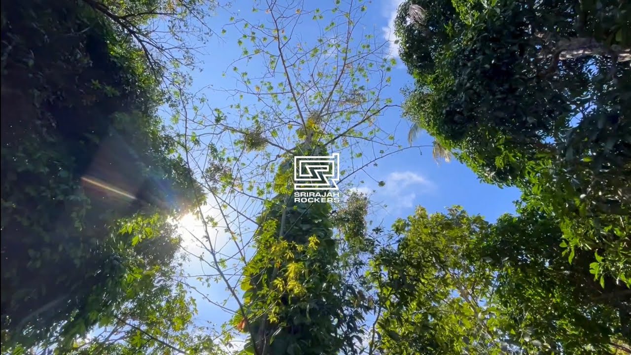 SRIRAJAH ROCKERS - TERPENE (Official Video) - YouTube