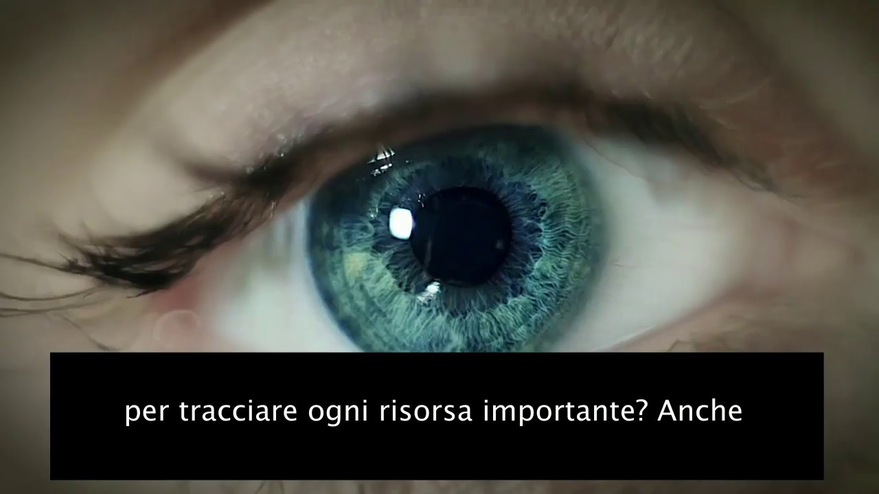 Zebra MotionWorks Overview - Italiano - YouTube