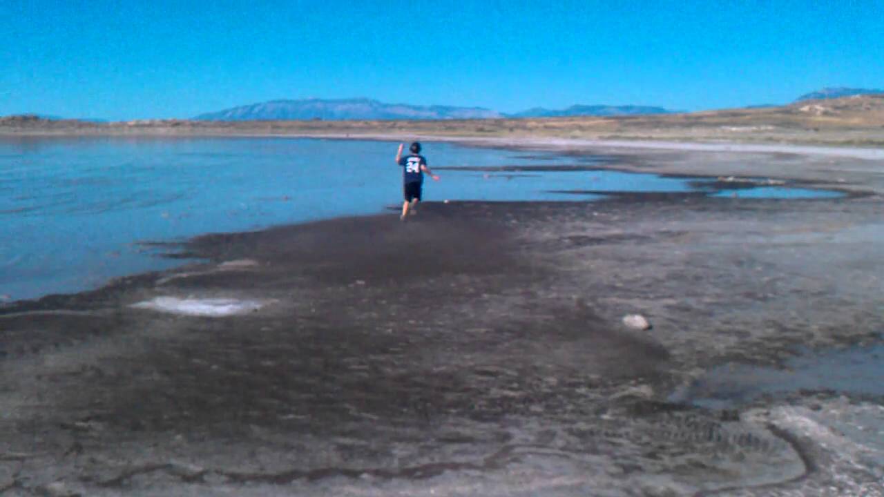 Bugs at the Great Salt Lake - YouTube