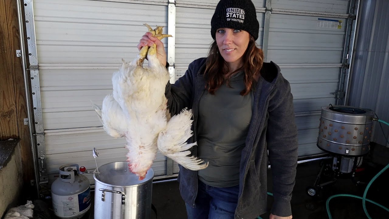 Butchering and Processing Chickens - YouTube