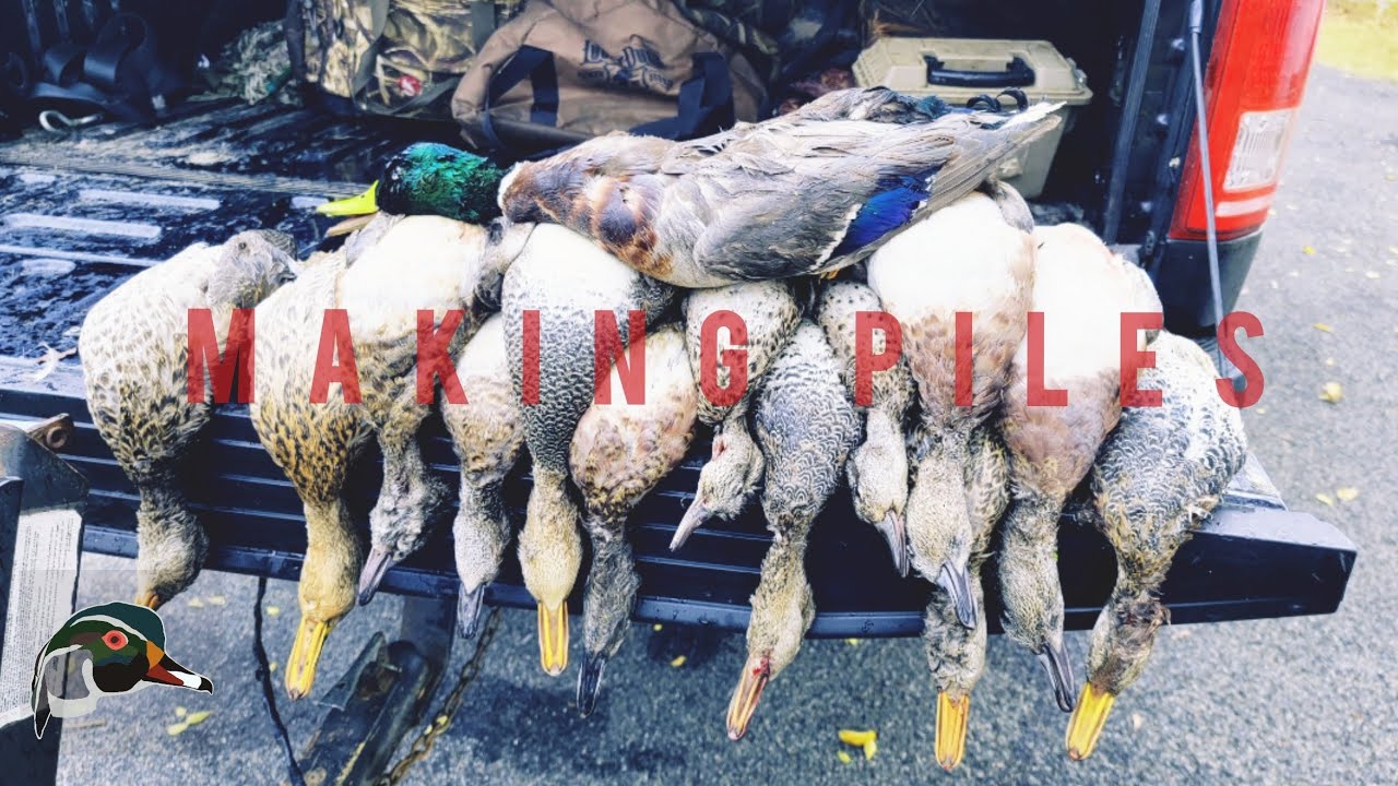 Making Piles || Plus My Buddies First Ever Duck Hunt - YouTube