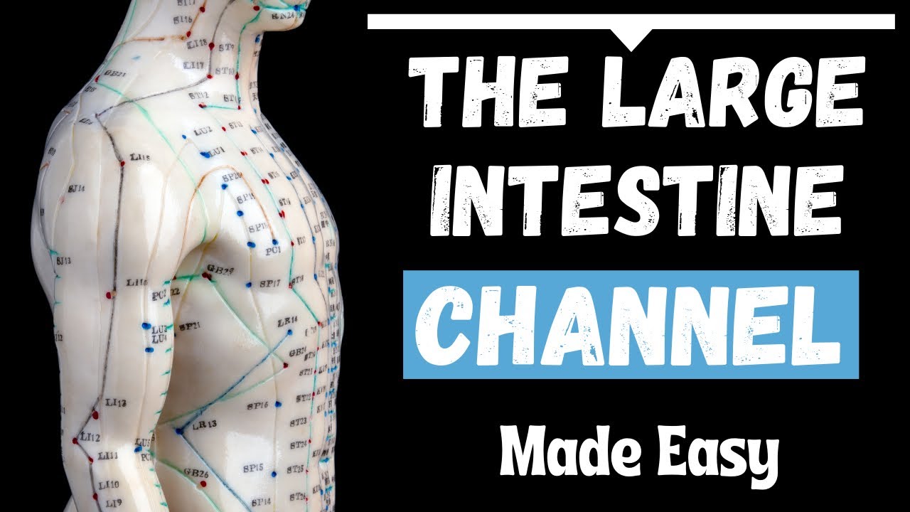 The Large Intestine Meridian - YouTube
