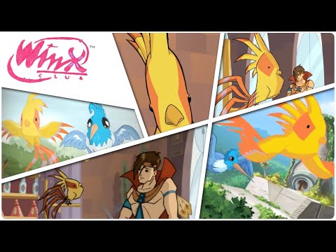 Winx Club - Buddy the Parrot complete story!