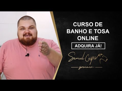 Curso de Banho e Tosa Online - Samuel Castro - YouTube