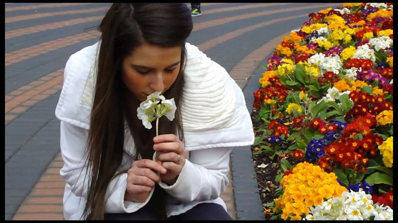 Student Music Video - Everywhere - YouTube