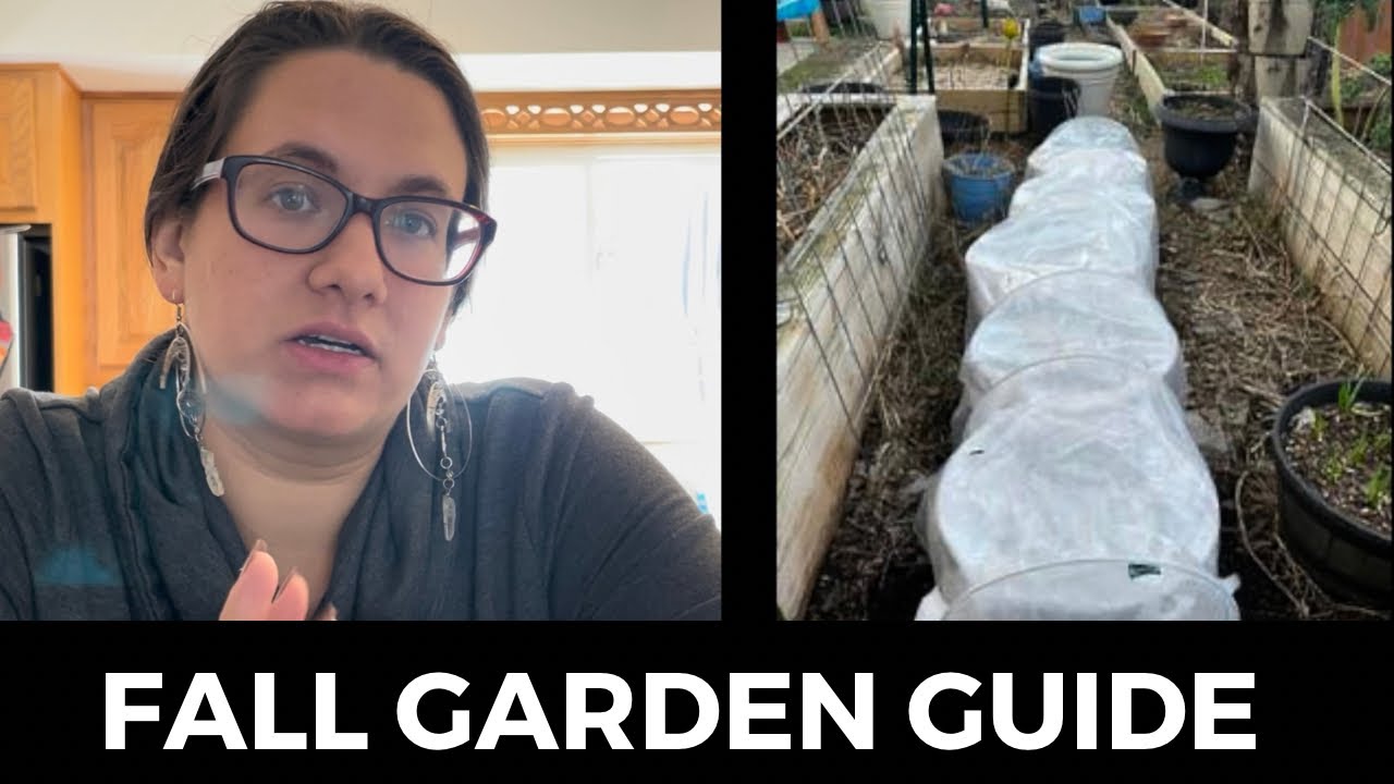 My plan for the fall garden | fall garden tips and cold hardy vegetables to grow in the fall ...