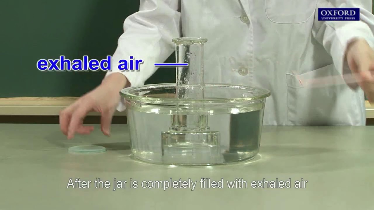 Practical 7.4 Comparison of the oxygen content of inhaled air and ...