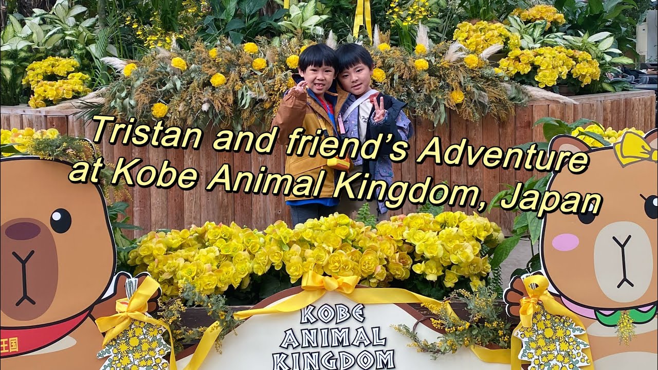 Tristan and Friend’s Adventure at Kobe Animal Kingdom: Amazing ...