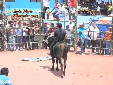 Santa Maria Albarradas jaripeo 1-2 15-8-2013 - YouTube