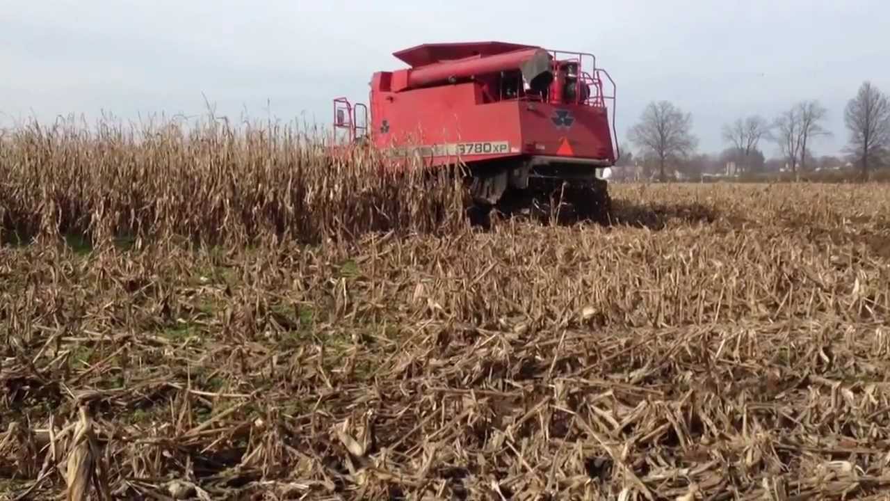 2012 Corn Harvest - Kuhns Farms - 8780XP - YouTube