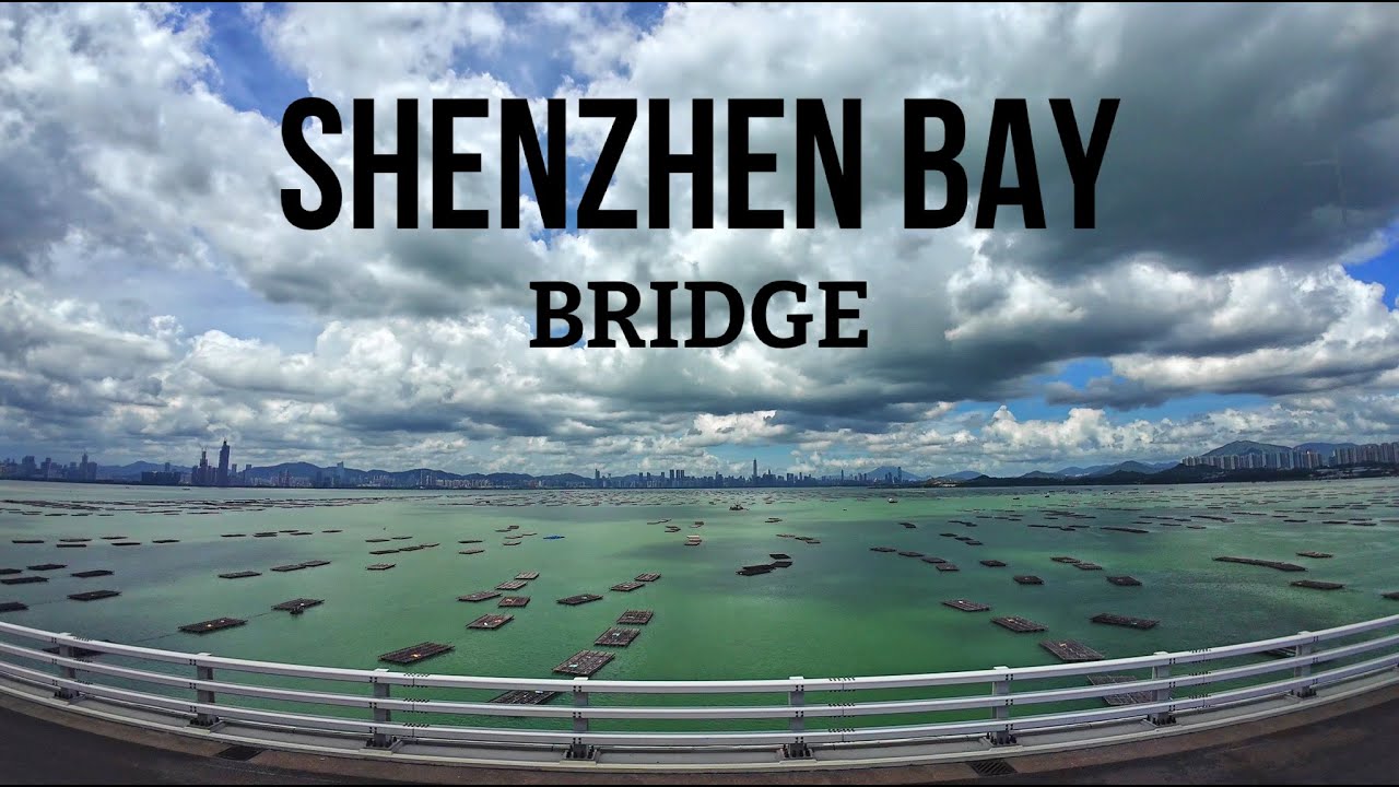 Amazing Views on Shenzhen Bay Bridge, And The Light Rail in New ...