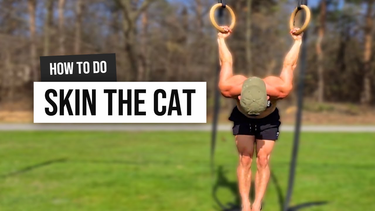 How to Skin the Cat - YouTube