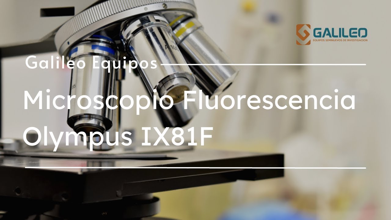 🔬 MICROSCOPIO FLUORESCENCIA OLYMPUS IX81F 🔬 | Galileo Equipos - YouTube