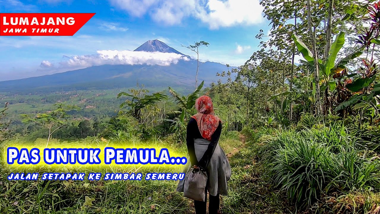Jalan Setapak ke Simbar Semeru Lumajang, Pas untuk Pendaki Pemula - YouTube