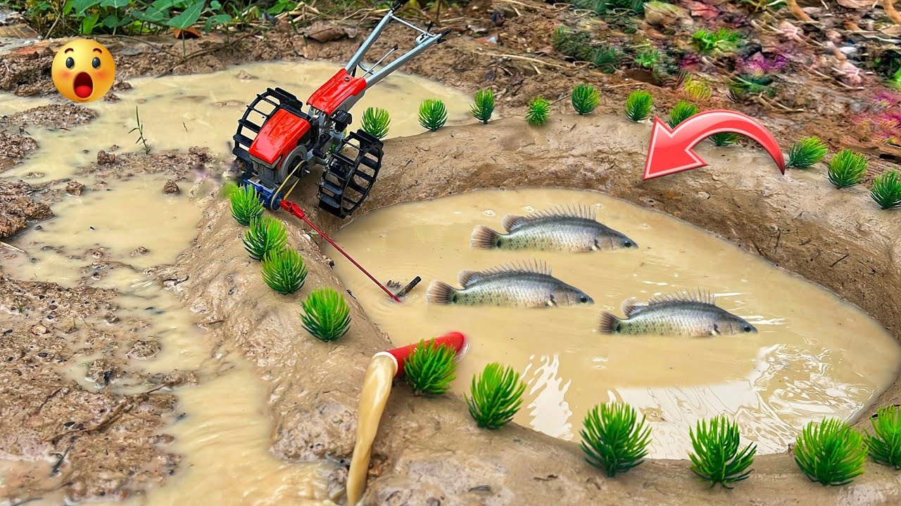 Catch fish using mini water pump tractor I fishing exciting | diy mini ...