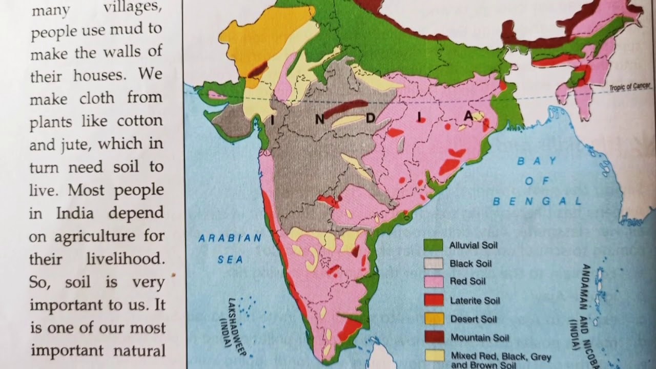 Soils of India- Introduction, Formation and Types Explained Class 4 ...