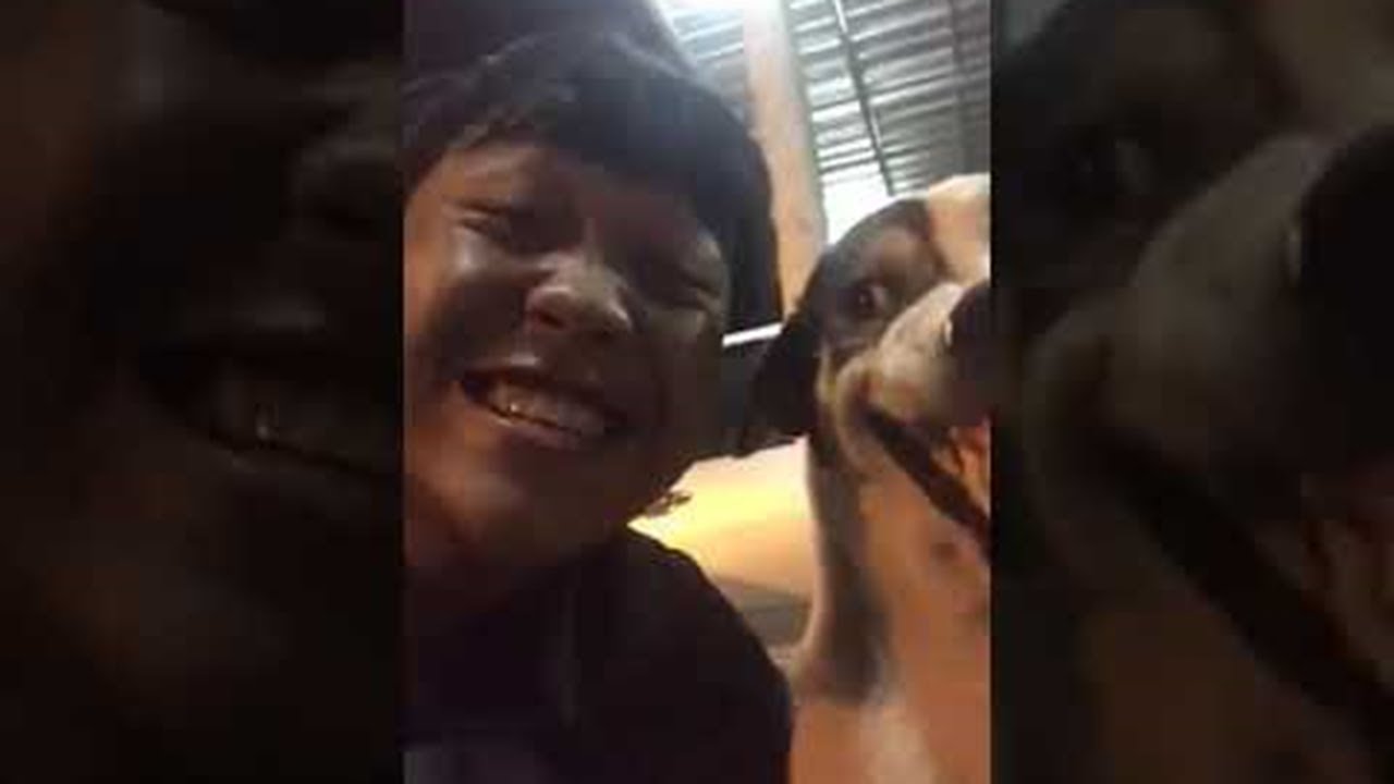 Copy Cat Dog Imitates Smiling Man || ViralHog - YouTube