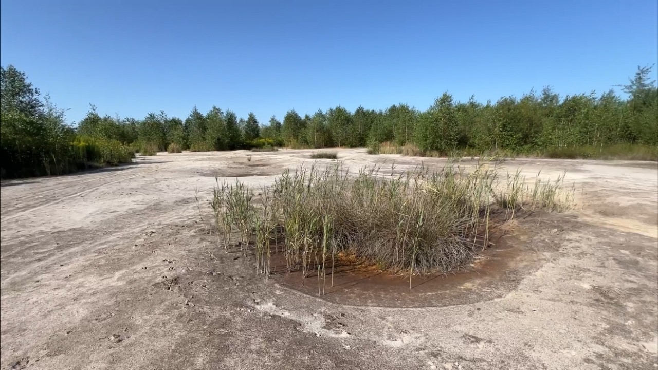 Beaver Dam Removal in the Drainage Canal – Aftermath of Amber Diggers ...