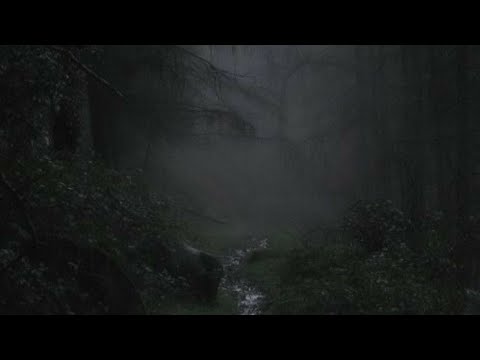 XARICI SARKILAR/QISA SARKILAR