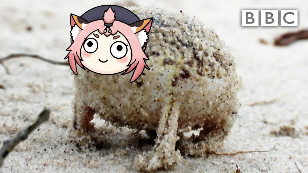 Angry squeaking Diona - YouTube