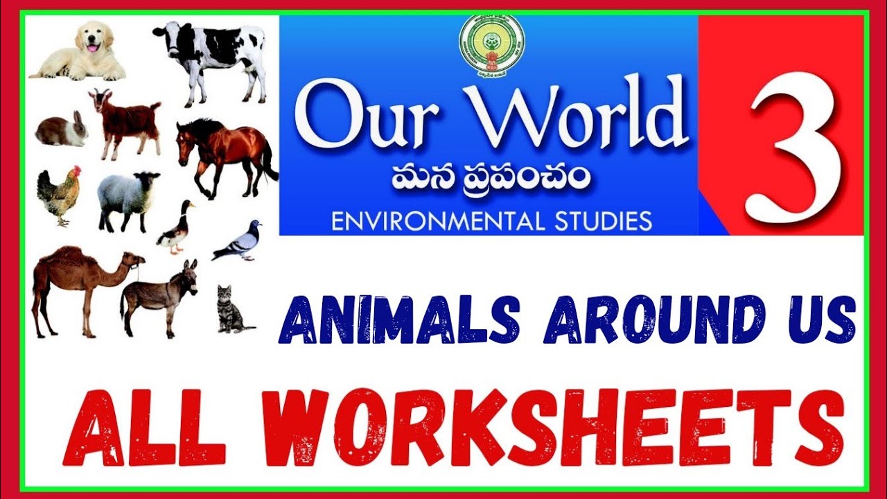 CLASS 3 EVS ANIMALS AROUND US ALL WORKSHEETS CLASS 3 EVS #ALLWORKSHEETS ...